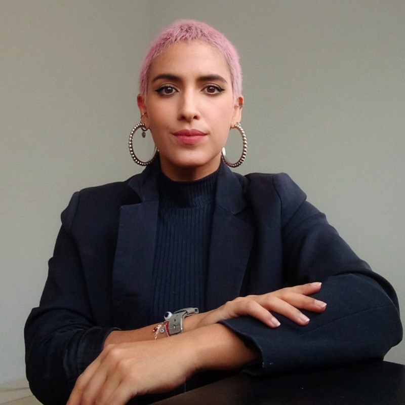 Animal comunitário: amor e legislação pendente - Rota Jurídica